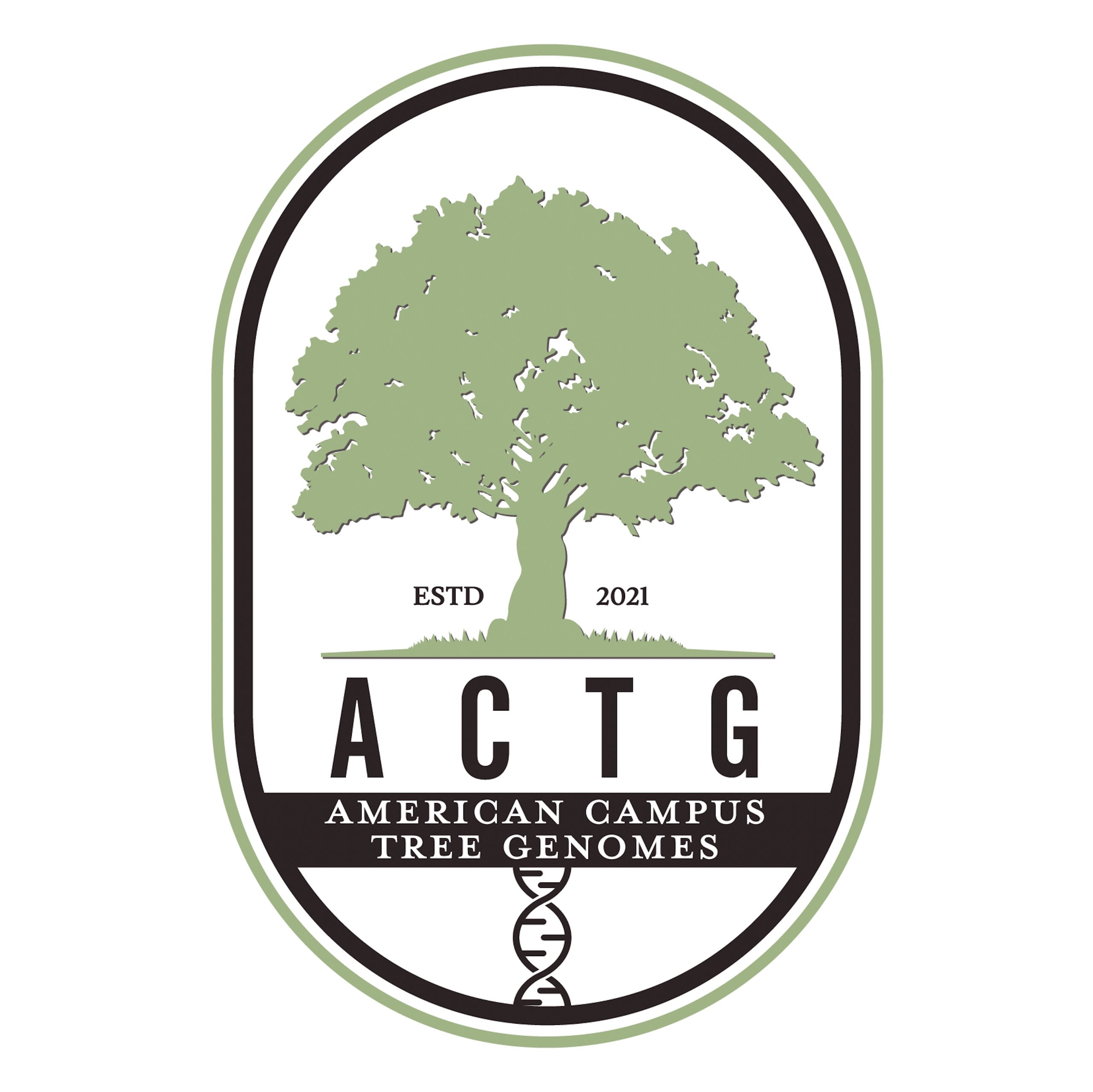 Learning from the trees